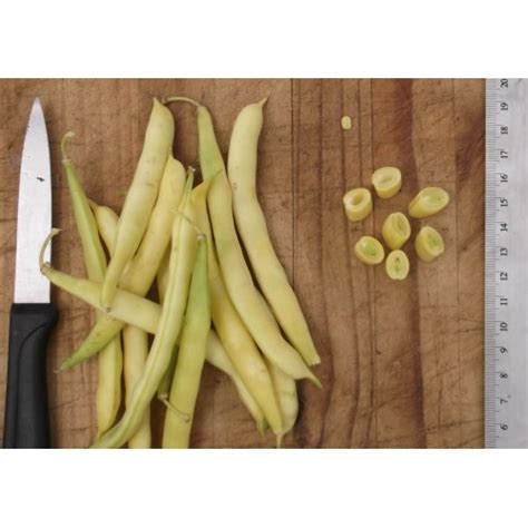 Sex Without Strings Category