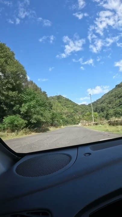 「衝撃映像」初サーキットで鹿と衝突shorts 衝撃映像サーキット動物鹿youtube Youtube
