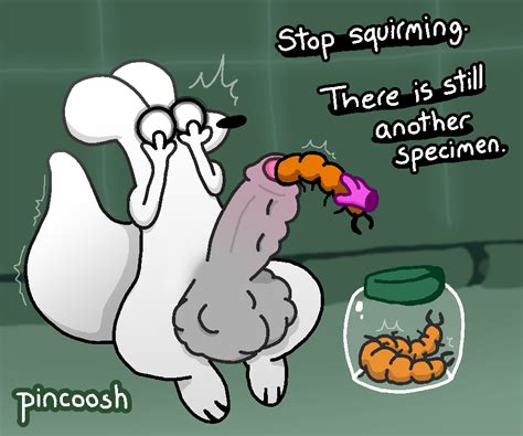 Rule 34 6 5 Arthropod Balls Big Balls Big Penis Bulging Balls Centipede Container Covering