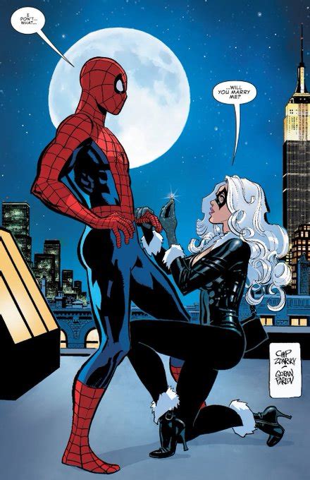 Symbiote Spider Man And Black Cat Black Cat Marvel Sp