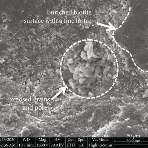 Sem Eds Images In Samples A The Grains And Particles C Micropores