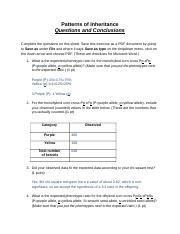 Patterns Of Inheritance Questions And Conclusions Docx Patterns Of Inheritance Questions
