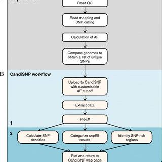 Bioinformatics Pipeline For Sequence Analysis Pipeline Indicating The Download Scientific