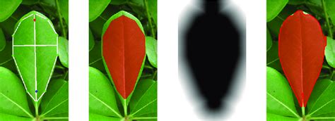 Guided Active Contour Results Polygonal Model Left Initial Contour Download Scientific