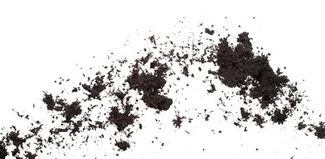 검은 비옥 심기 준비가 된 토양 정원 농업을위한 뿌리가있는 좋은 유기 토양 먼지가 더러워진 공기 중에 던져지는 토양의 미세한 세부 사항 흰색 배경 위에 고속 동결 샷이