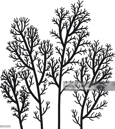 Floral Composition Plants And Leaves High Res Vector Graphic Getty Images