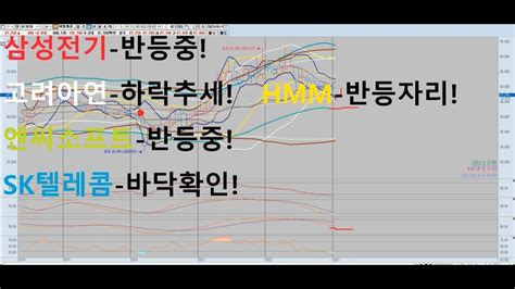 삼성전기 고려아연 Hmm 엔씨소프트 Sk텔레콤 Youtube