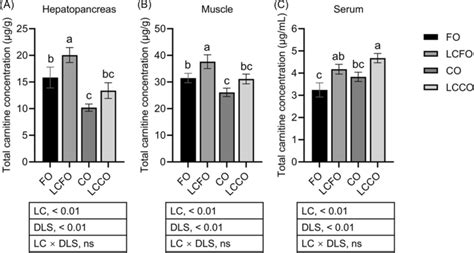 Effect Of The L Carnitine Supplementation On The Carnitine Download Scientific Diagram