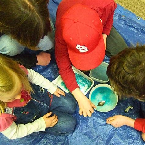 Flowers And The Fibonacci Sequence Montana Natural History Center