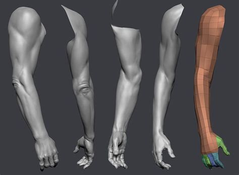 Powerful 3d Modeling Tools To Accelerate Your Growth Artofit Powerful 3d Modeling Tools To Accelerate Your Growth Artofit