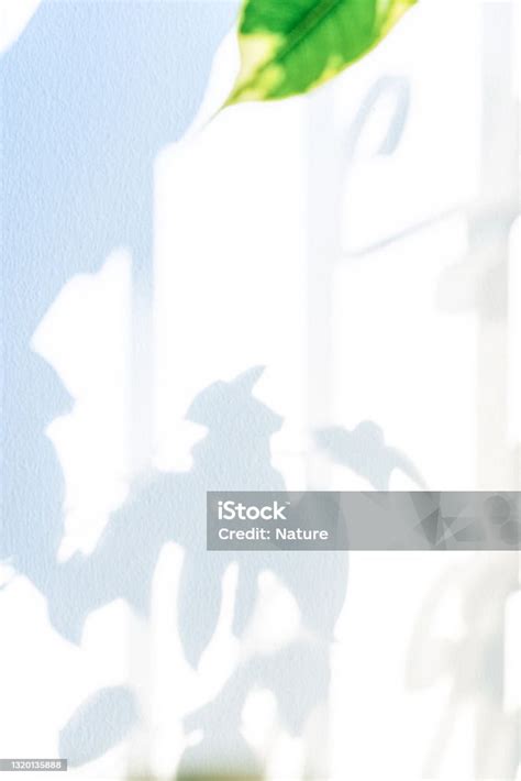 건축 그림자 흰색 텍스처 월의 창에서 가볍고 검은 그림자가 오버레이되는 햇빛 아키텍처 추상적 배경 모형 포스터 고정 벽 예술