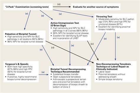 Evidence Based Algorithm For Biceps Labrum Complex Disease 26 Download Scientific Diagram