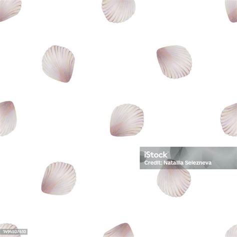 조개껍데기가 있는 수채화 이음매 없는 패턴 손으로 그림을 그리는 클립아트 수중 생물은 흰색의 고립된 배경에 있다 디자이너 장식 엽서 포장지 스크랩북 표지 초대장 웨딩 디자인