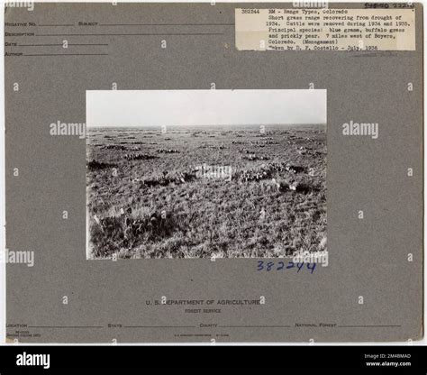 Grassland Types Colorado Photographs Relating To National Forests Resource Management