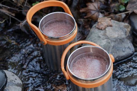 დაცული ტერიტორიების სააგენტო Agency Of Protected Areas Georgia Added A დაცული