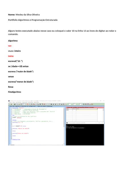 Portifolio Algoritmos E Programação Estruturada Pdf
