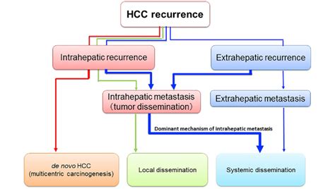 Tree Diagram Of Hcc Recurrence Intrahepatic Recurrence Of Hcc After