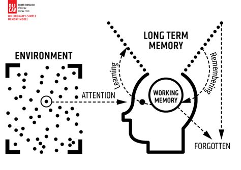 Limited Capacity Attention What Are The Implications For Education