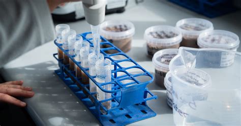 Explaining Carbon Avoidance Vs Carbon Removal Undo Carbon