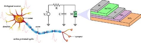 Figure 2 From Volatile Memristor In Leaky Integrate And Fire Neurons Circuit Simulation And