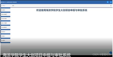 Javaphpnodejspython海滨学院学生大创项目申报与审批系统【2024年毕设】 Csdn博客