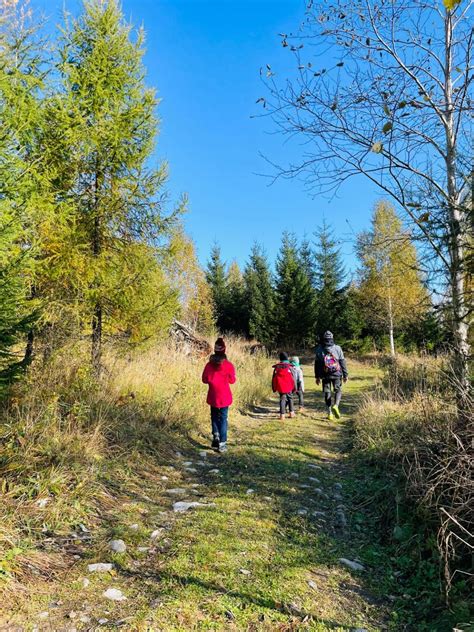 Dasa Noskovicova On Linkedin Adastra Lifeatadastra Adastraslovakia Tothestars Datalovers