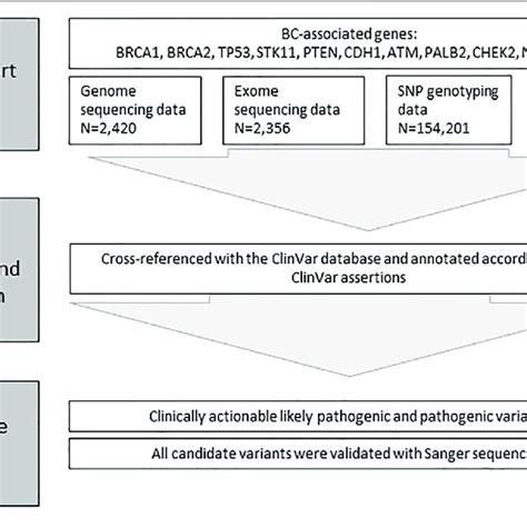 Framework For Variant Detection And Evaluation A Custom Pipeline Was Download Scientific