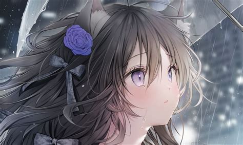 《崩坏：星穹铁道》op：「不眠之夜」 洗洗睡吧owo 默认收藏夹 哔哩哔哩视频