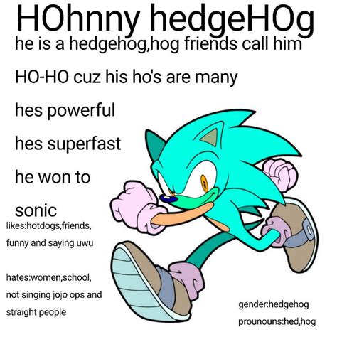 Hi This Is My Sonic Oc By Honnythehedgehog On Deviantart