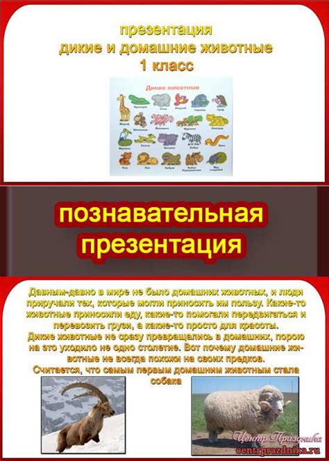 Презентация дикие и домашние животные 1 класс Всё что нужно для праздника в Центре Праздника РУ