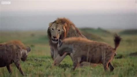 Donald Genes On Linkedin Lessonlearnt Programming Datascience