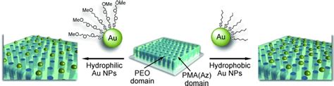 Site‐specific Recognition Of Nanophase‐separated Surfaces Of