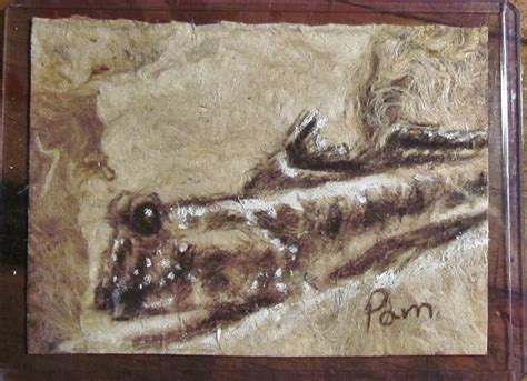 Mudskipper The Art Of Pam Earleywine