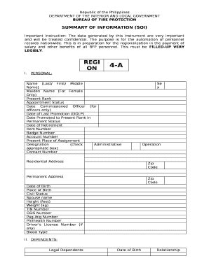 SUMMARY OF INATION SOI Doc Template PdfFiller