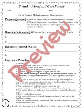 Fossils Worksheets Experiments By The Campbell Connection TpT