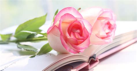 Wordpress Add Javascript To Specific Page 13 Expert Answers For Success