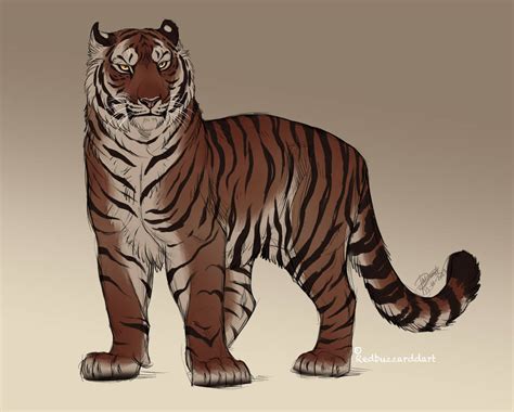 Tiger Sketch By Redbuzzarddart On Deviantart