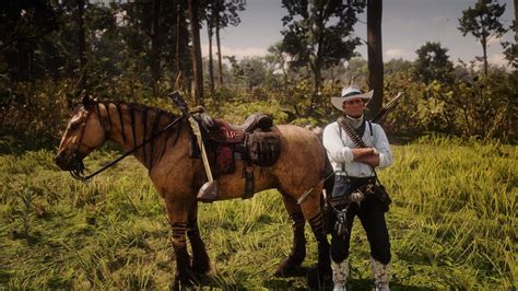 Rdr 2 New Mods Pack Fully Unlocked Online Content And Best New Fix For