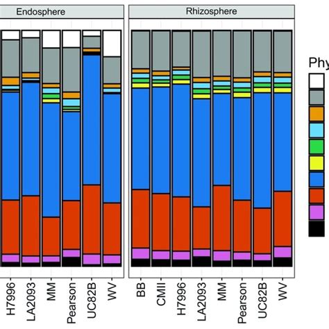 Tomato Root Microbiome Bacterial Community Composition Across Download Scientific Diagram