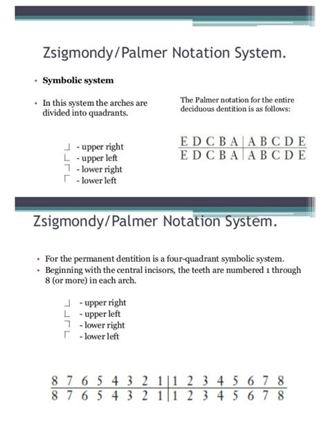 Palmer Notation System For Teeth
