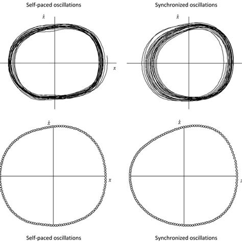 limit cycle dynamics of simulated self paced left and synchronized