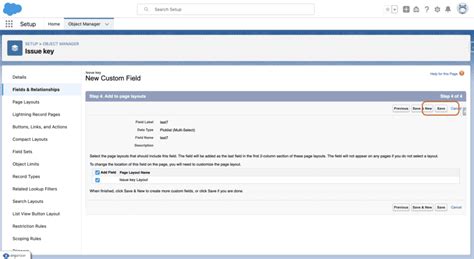 Multipicklist In Salesforce Forcelearn