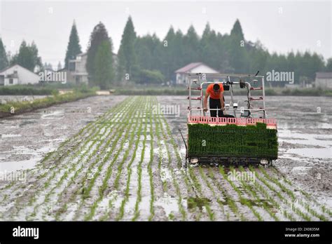 240410 Yiyang April 10 2024 Xinhua An Autonomous Rice Transplanter Works At A Smart