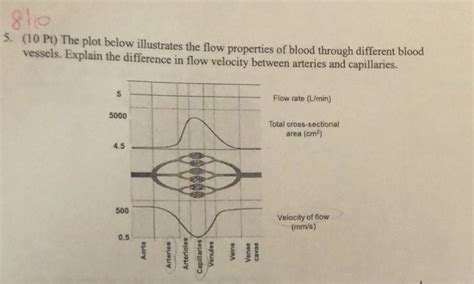 Solved 5 10 P The Plot Below Illustrates The Flow Chegg Com