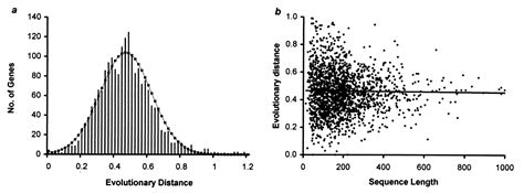 Mutation Rates In Mammalian Genomes Pnas