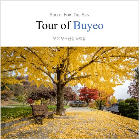 부여 여행 관광지 부소산성 단풍 낙화암 유람선 풍경 네이버 블로그