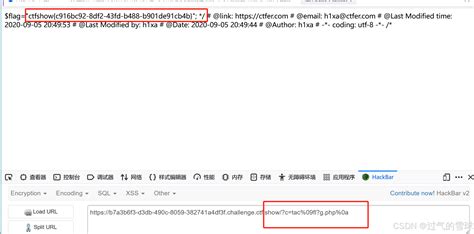 Ctfshow Web入门 命令执行（29 54关）ctfshow Web29 Csdn博客