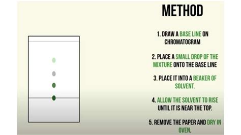 Chromatography Lesson Note International Gcse Pptx