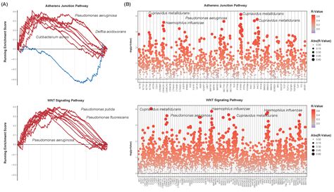 Urinary Microbiome Dysbiosis And Immune Dysregulations As Potential Diagnostic Indicators Of