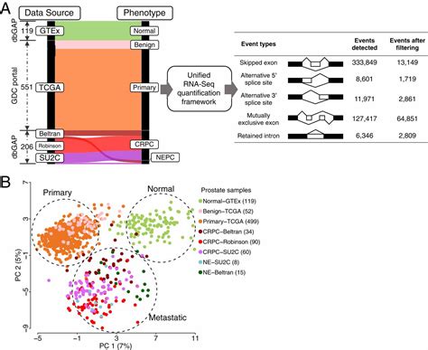 Alternative Splicing Rna Seq